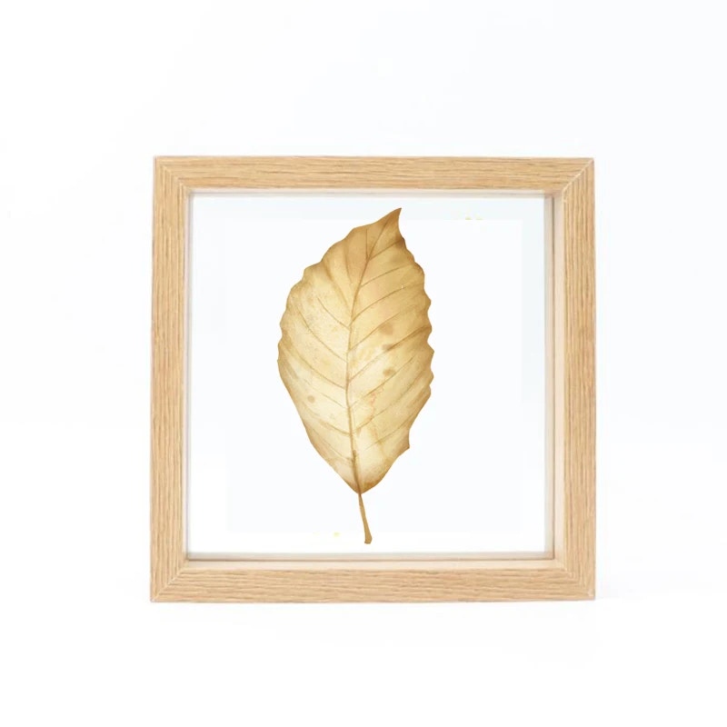 Dual Glass Shadow Box Frame for Decor - Home Goods - by Gertie Factory ...